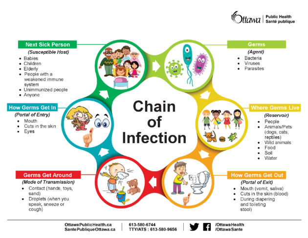 Understanding The Spread Of Infection North Bay Parry Sound District